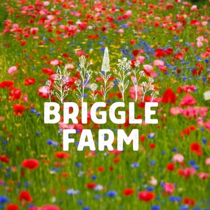 Briggle Farm case study | Connecting Cumbria